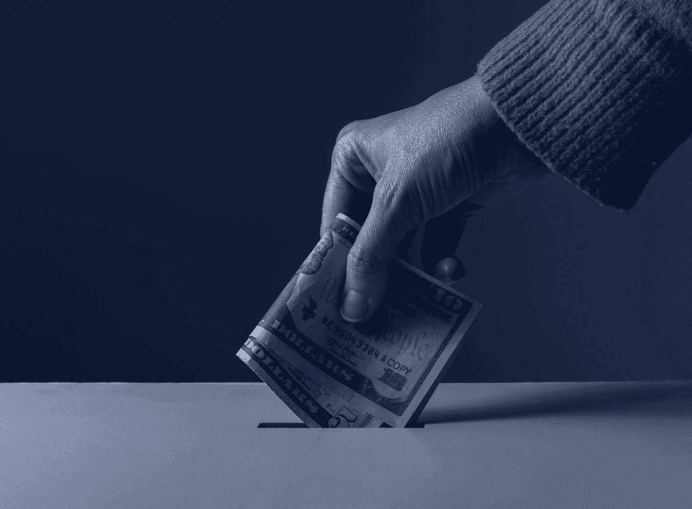 Global Animal Rescue & TNVR Programs | Lets Save the Strays International