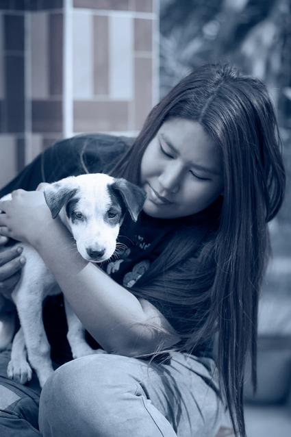 Fundraisers | Lets Save the Strays International