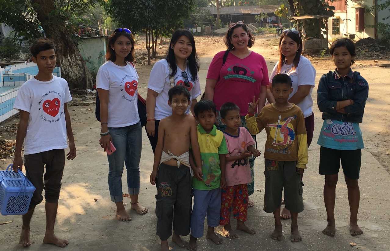 Global Animal Rescue & TNVR Programs | Lets Save the Strays International